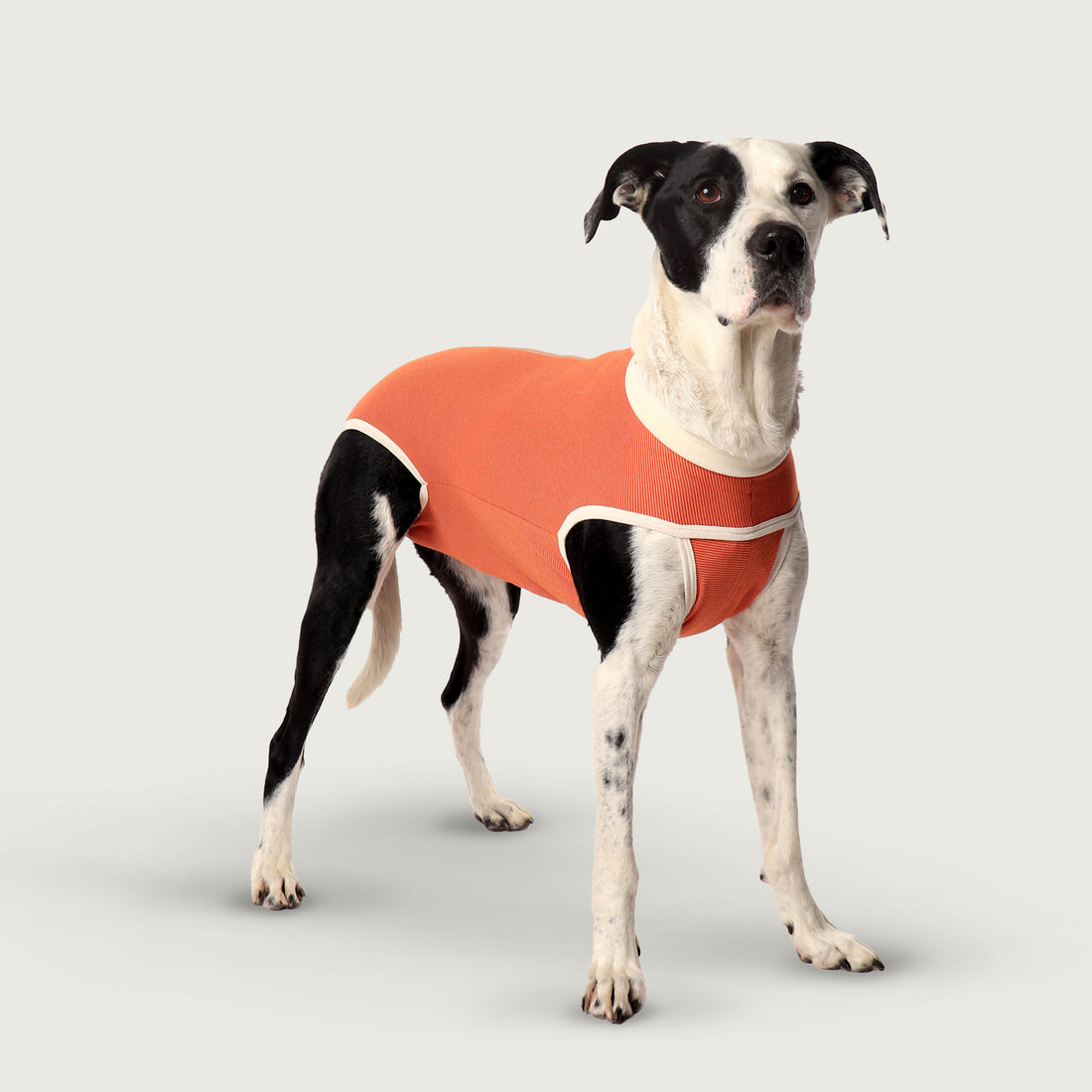 Copper Body® – KVP International LLC