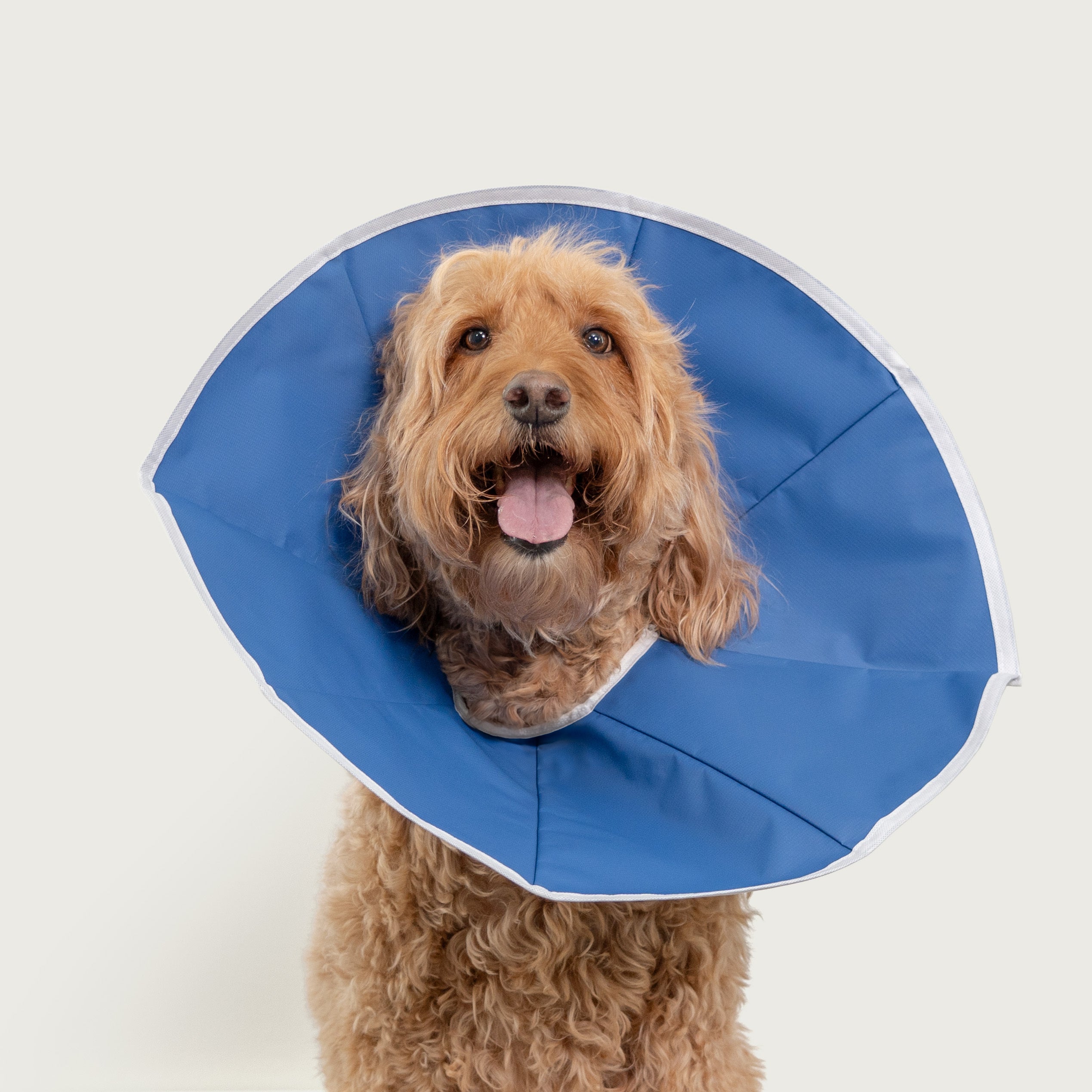 EZ Flex™ – KVP International LLC