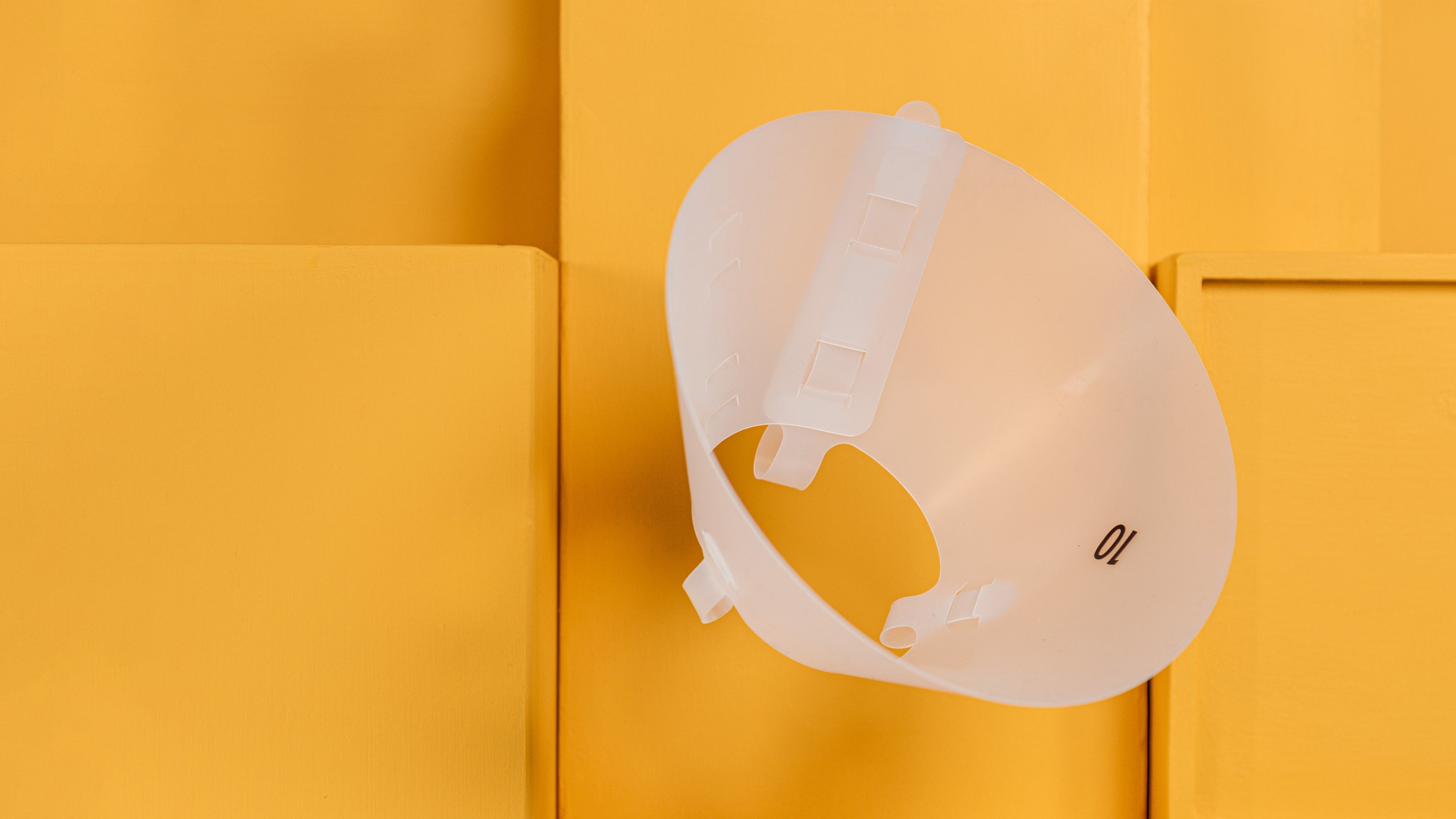 Classic E-Collar Collection | 2024 KVP International Catalog – KVP ...