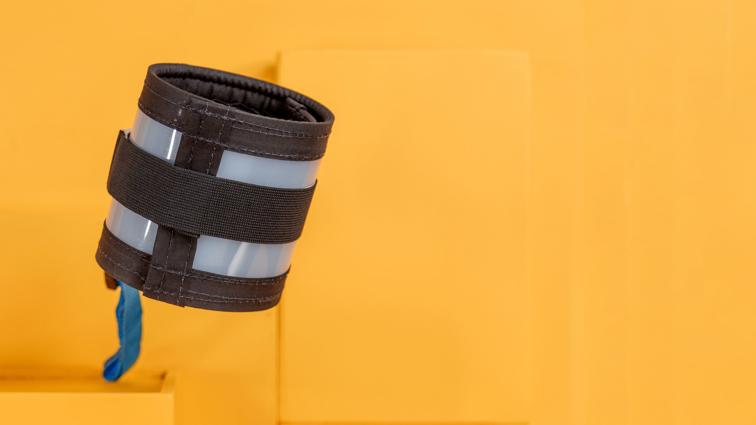 Classic E-Collar Collection | 2024 KVP International Catalog – KVP ...