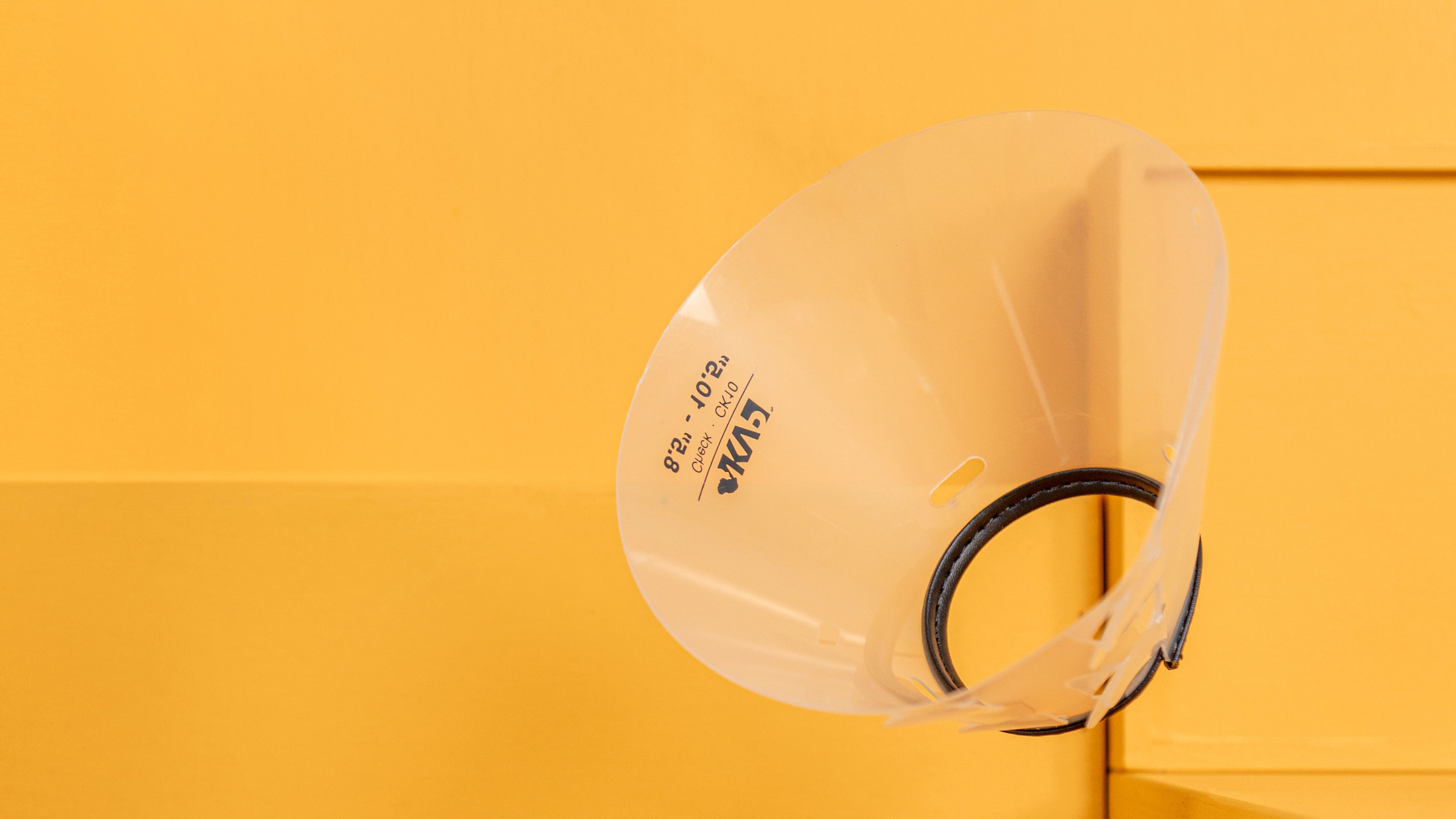 Classic E-Collar Collection | 2024 KVP International Catalog – KVP ...