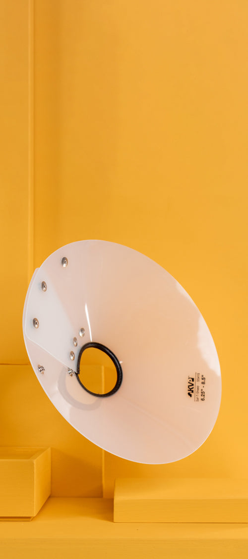 Classic E-Collar Collection | 2024 KVP International Catalog – KVP ...