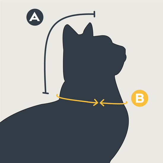 No Flap™ Ear Wrap E- Collar - Dog Ear Protector – KVP International LLC