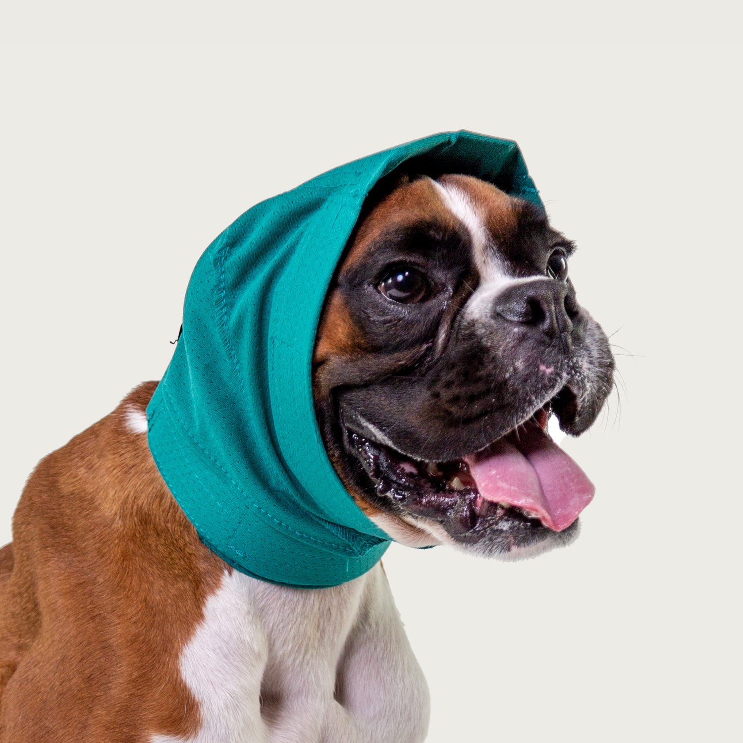 No Flap™ Ear Wrap E- Collar - Dog Ear Protector – KVP International LLC