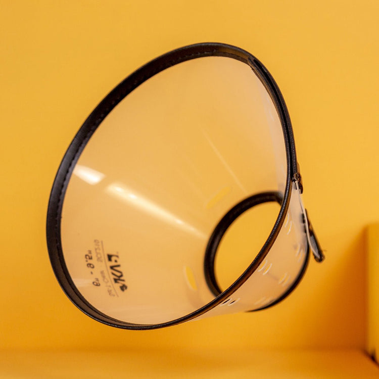 Saf-T-Clear™ Dog E- Collar - Adjustable Padded Dog Cone – KVP ...